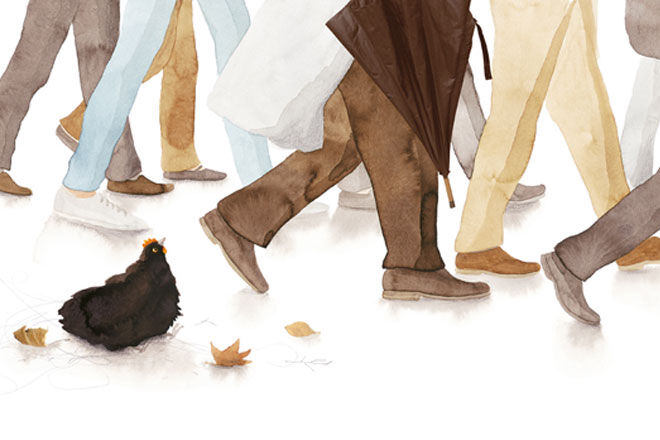 Book Review: Peggy: A Brave Chicken on a Big Adventure