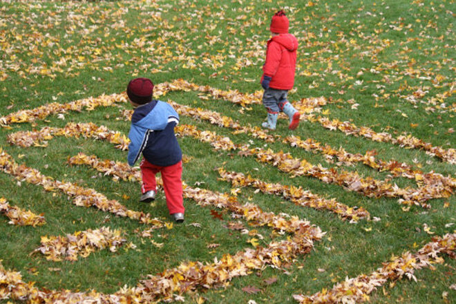 14 fun Autumn activities for kids | Mum's Grapevine