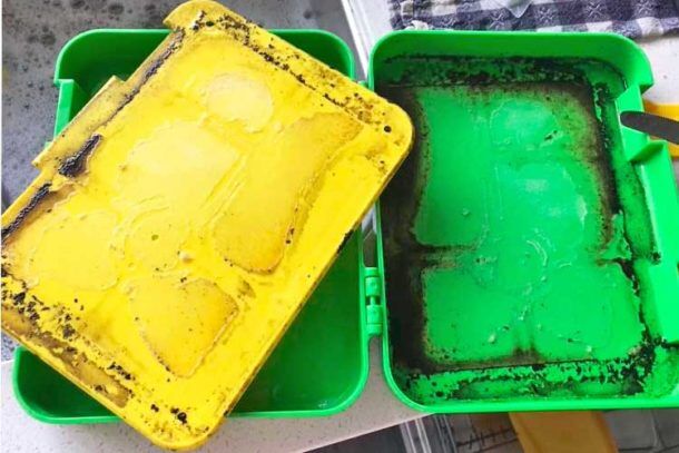 Mum's warning after mouldy lunch box discovery | Mum's Grapevine