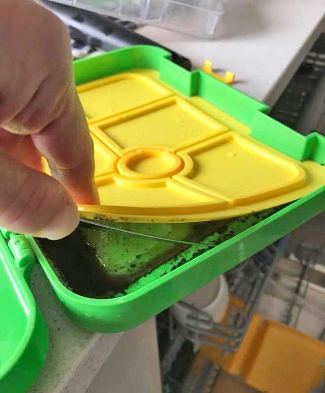 Mum's warning after mouldy lunch box discovery | Mum's Grapevine