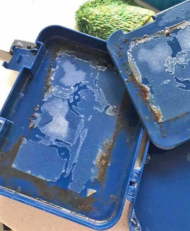 Mum's warning after mouldy lunch box discovery | Mum's Grapevine