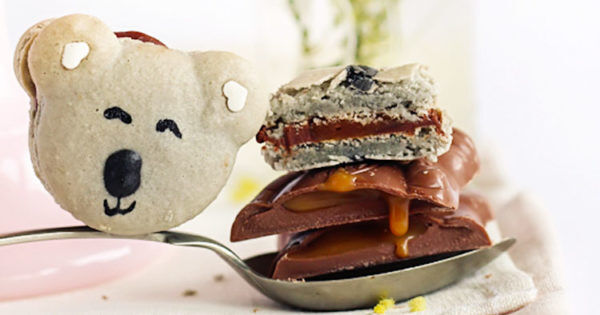 Caramel koala macarons too cut not to make | Mum's Grapevine