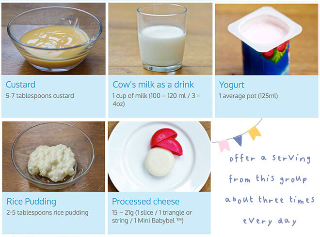 A visual guide: how much food should a toddler eat | Mum's Grapevine