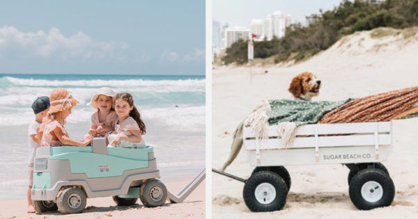 10 best beach trolleys for every budget | Mum's Grapevine
