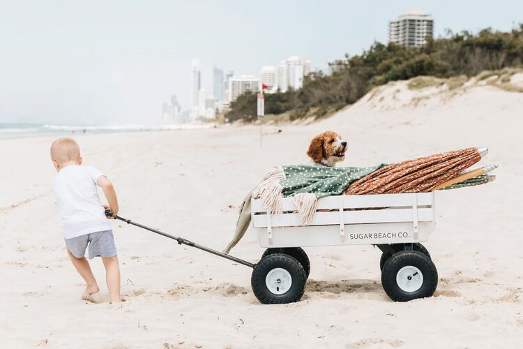 10 best beach trolleys for every budget | Mum's Grapevine